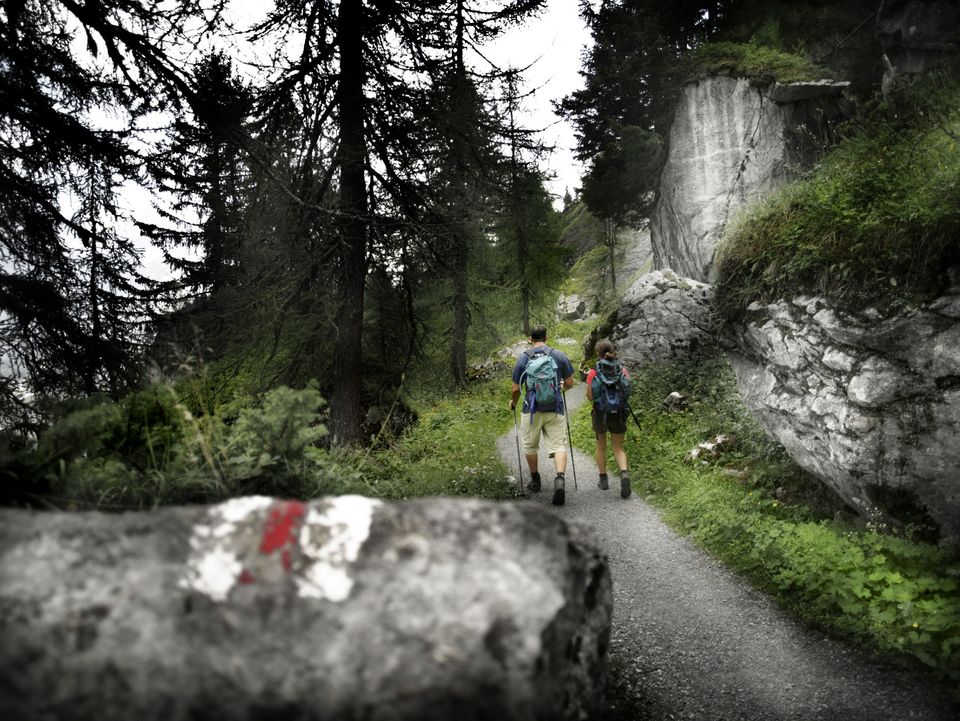 Hiking | Luftseilbahn Kandersteg-Allmenalp