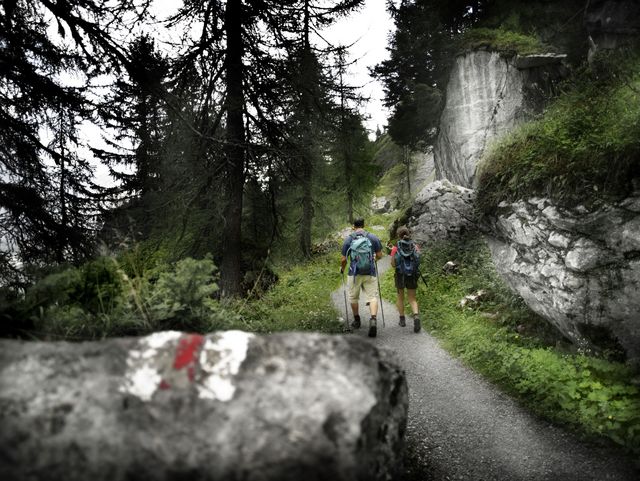 Hiking | Luftseilbahn Kandersteg-Allmenalp