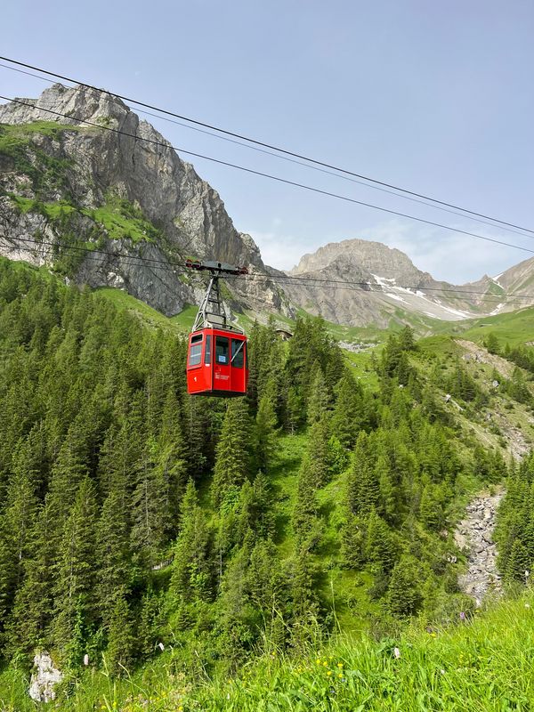 Luftseilbahn Kandersteg-Allmenalp | Luftseilbahn Kandersteg-Allmenalp